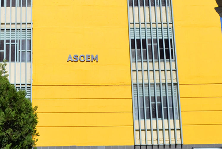 Información general - ASOEM